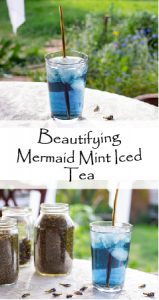 Mermaid Mint Iced Tea - Wild Vegan Flower