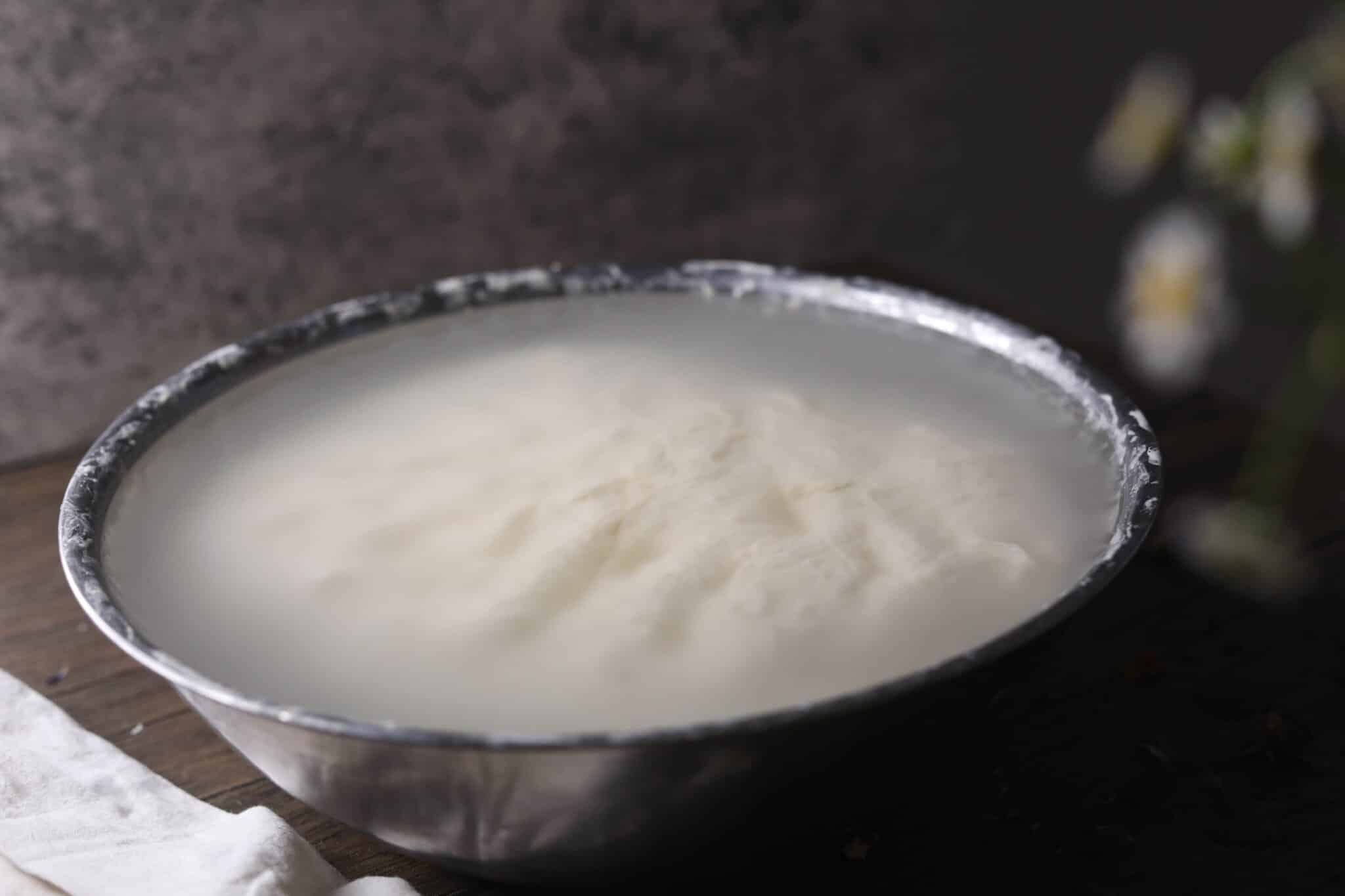 Washed Flour Seitan - Wild Vegan Flower