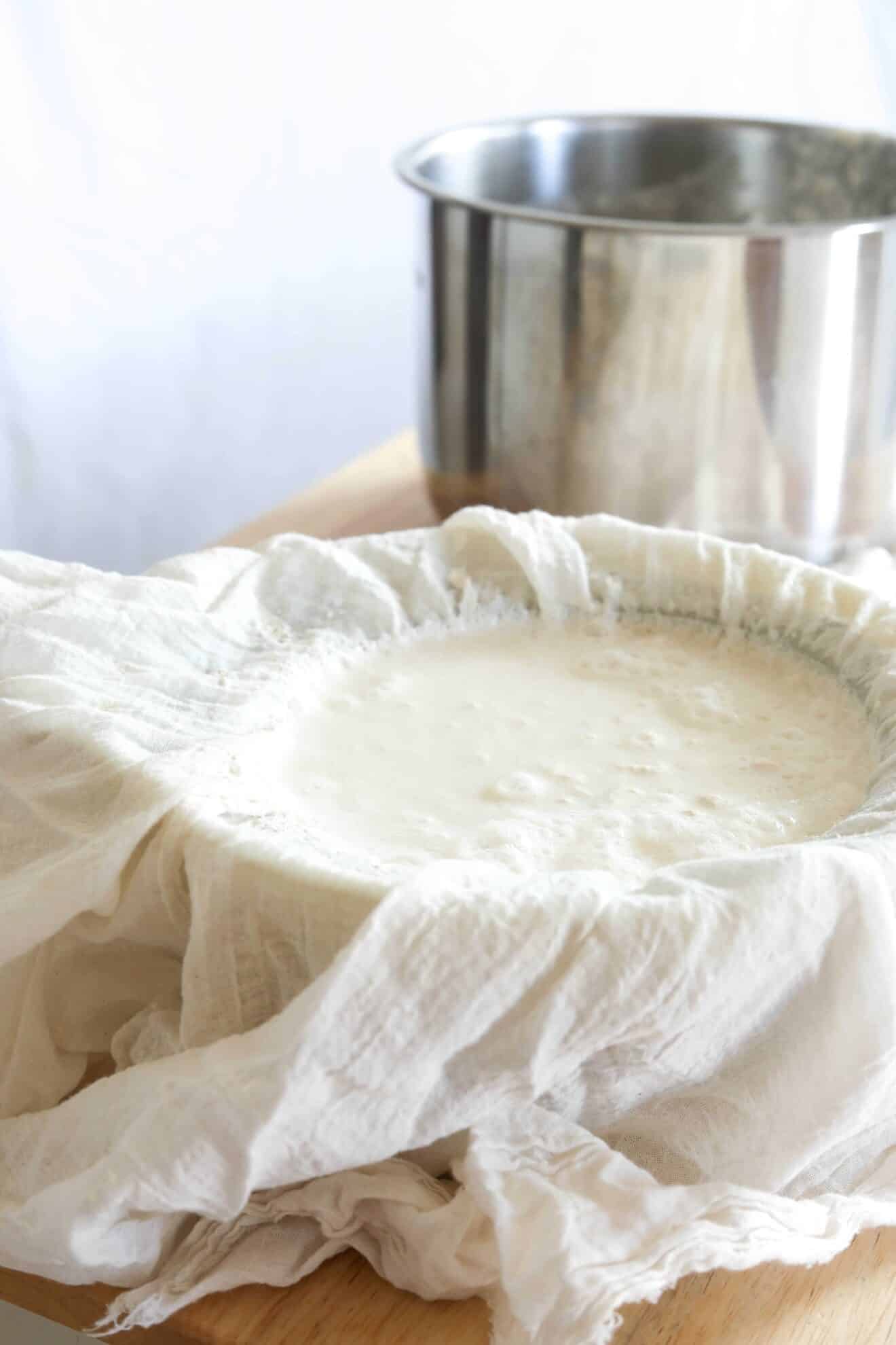 Instant Pot Vegan Yogurt - Wild Vegan Flower